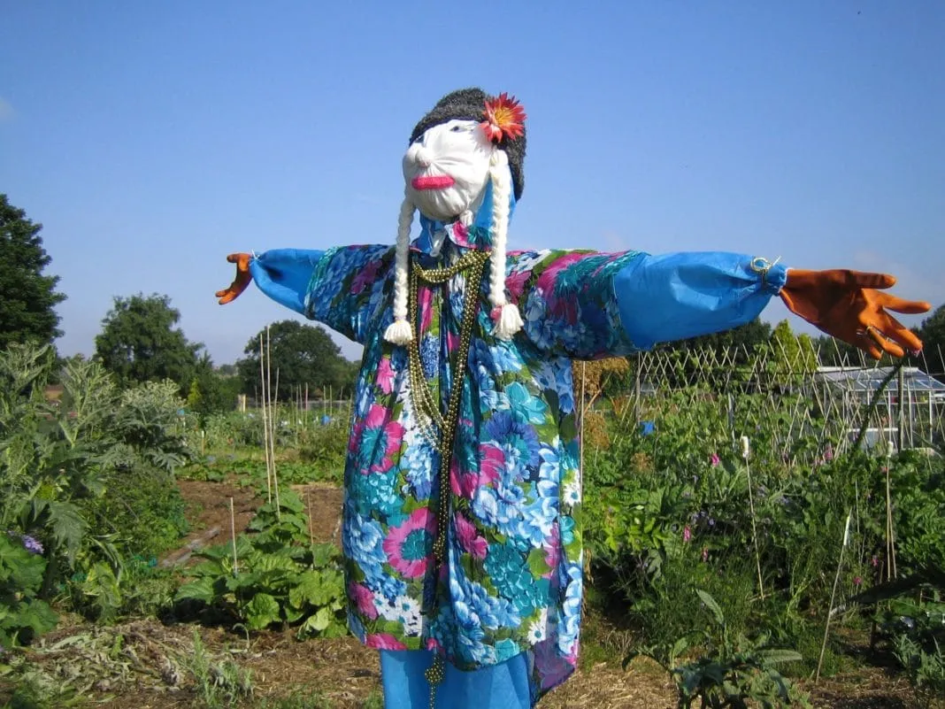 Пошаговая инструкция по созданию чучела на огород своими руками